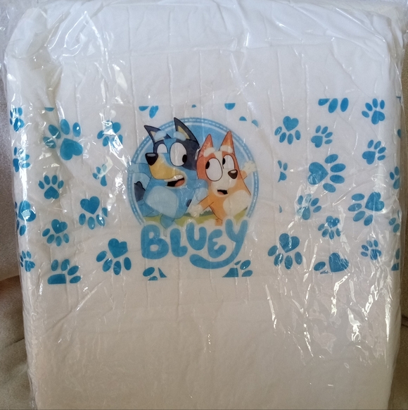 Hand Crafted | Underwear & Socks | Bluey Adult Disposable Diaper | Poshmark
